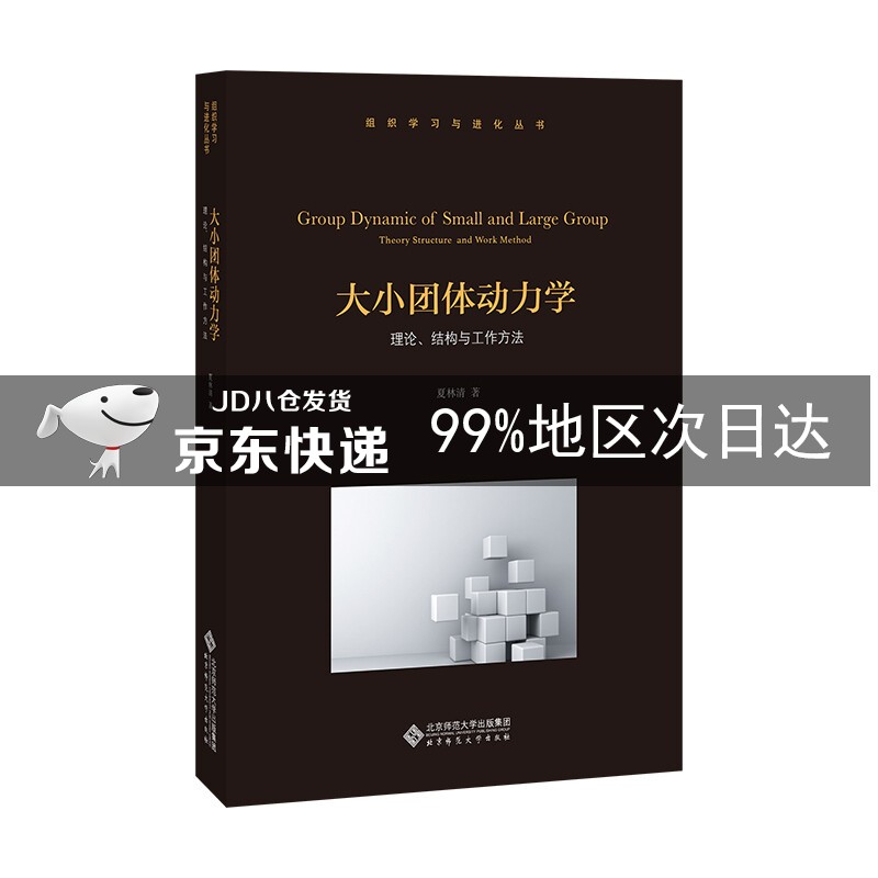 大小团体动力学 : 理论、结构与工作方法