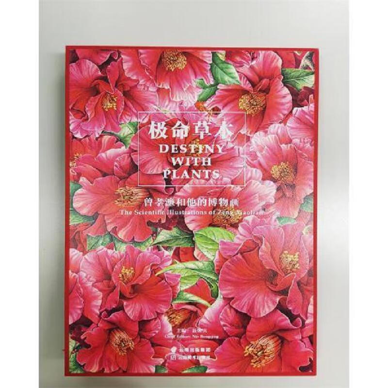 【保证】极命草木— 曾孝濂和他的博物画 植物学花鸟绘画精装画册 聂荣庆 云南美术出版社 97