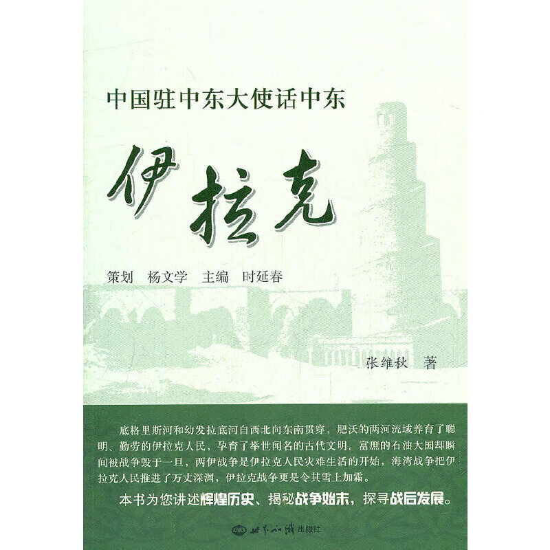 中国驻中东大使话中东伊拉克