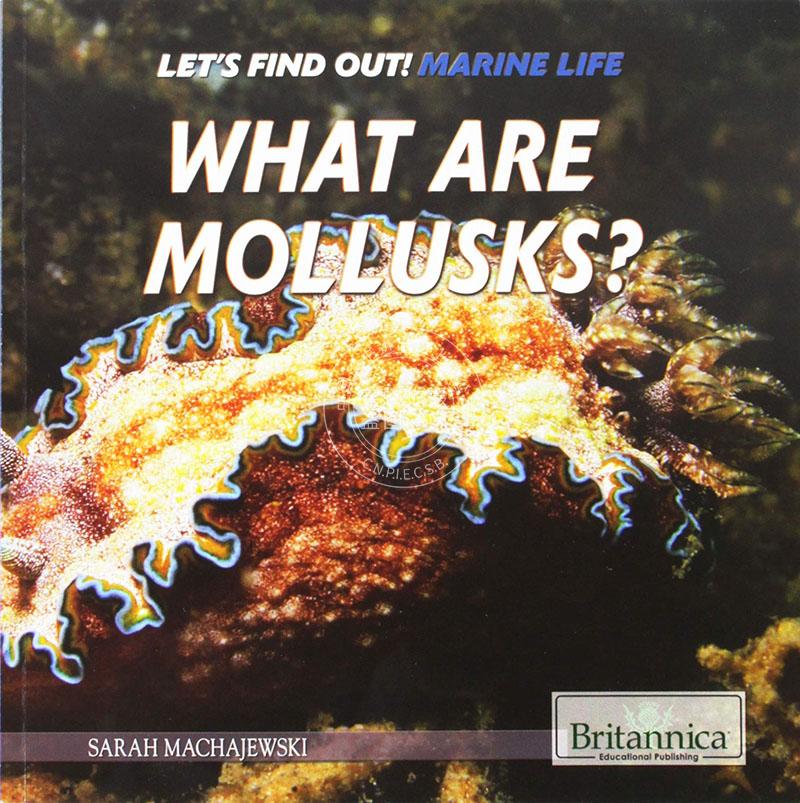 什么是软体动物 英文原版 What Are Mollusks?