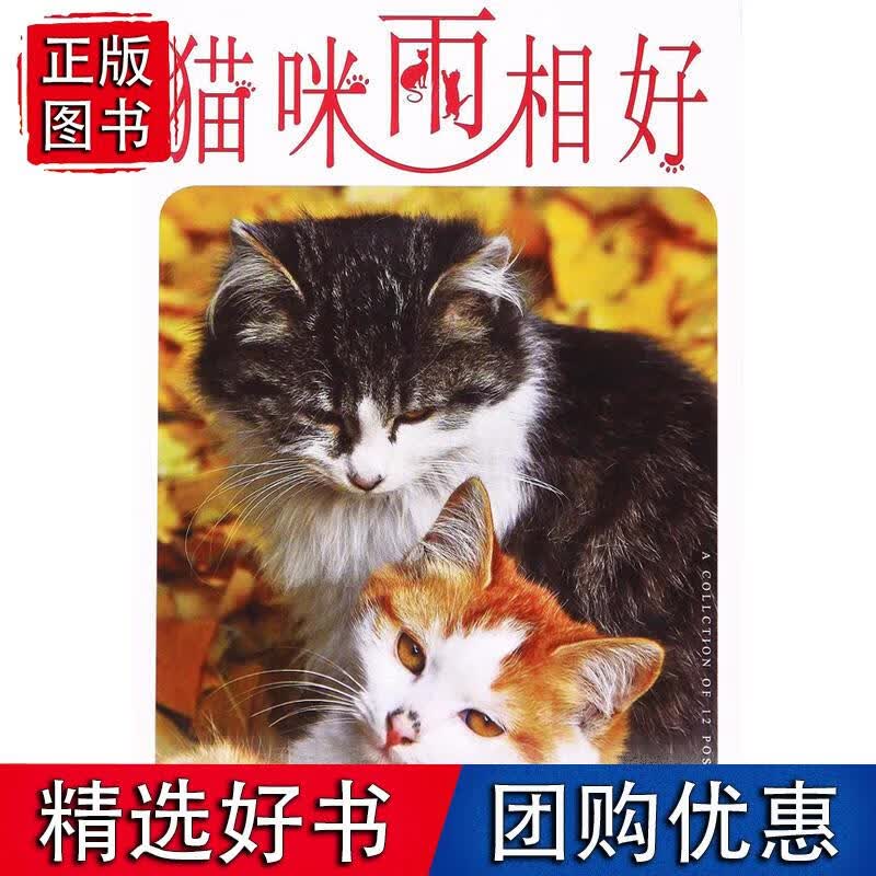 猫咪两相好（明信片）