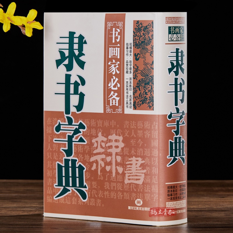 【现货速发】隶书字典 书画家 历代名家隶书毛笔书法常用字字典字海工具书 汉隶碑帖书籍临摹鉴赏 笔画