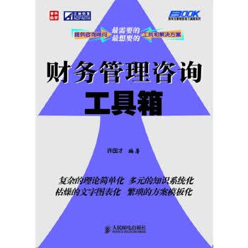 财务管理咨询工具箱 许国才著