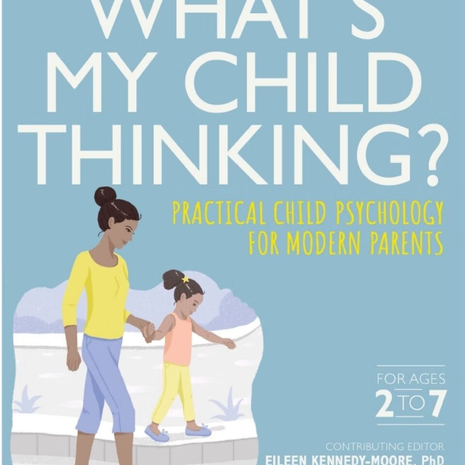 DK What's My Child Thinking纸质书