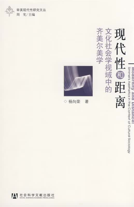 现代性和距离 杨向荣