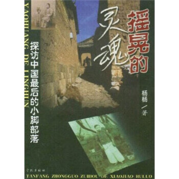 摇晃的灵魂 杨杨 著