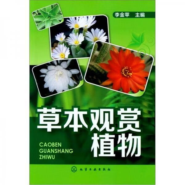 草本观赏植物