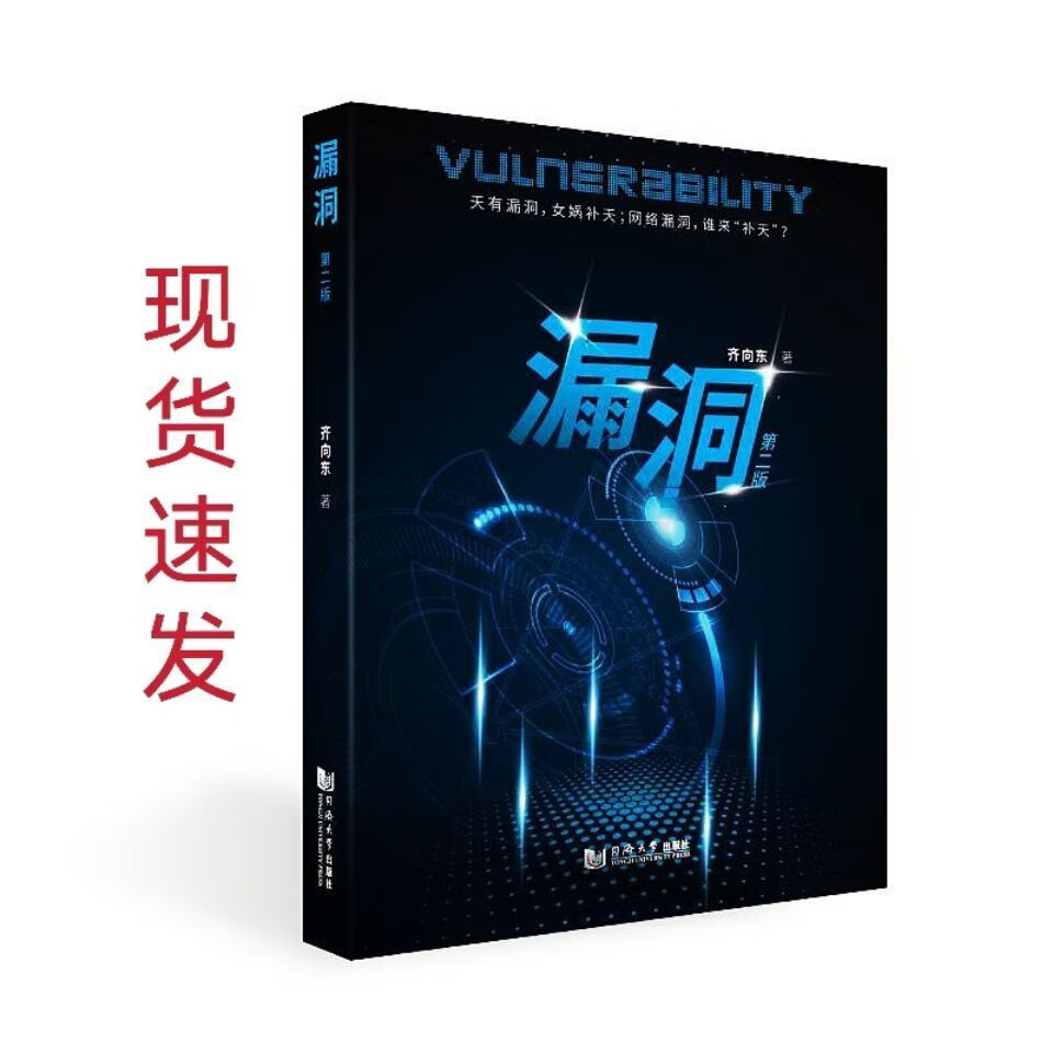漏洞(第二版)