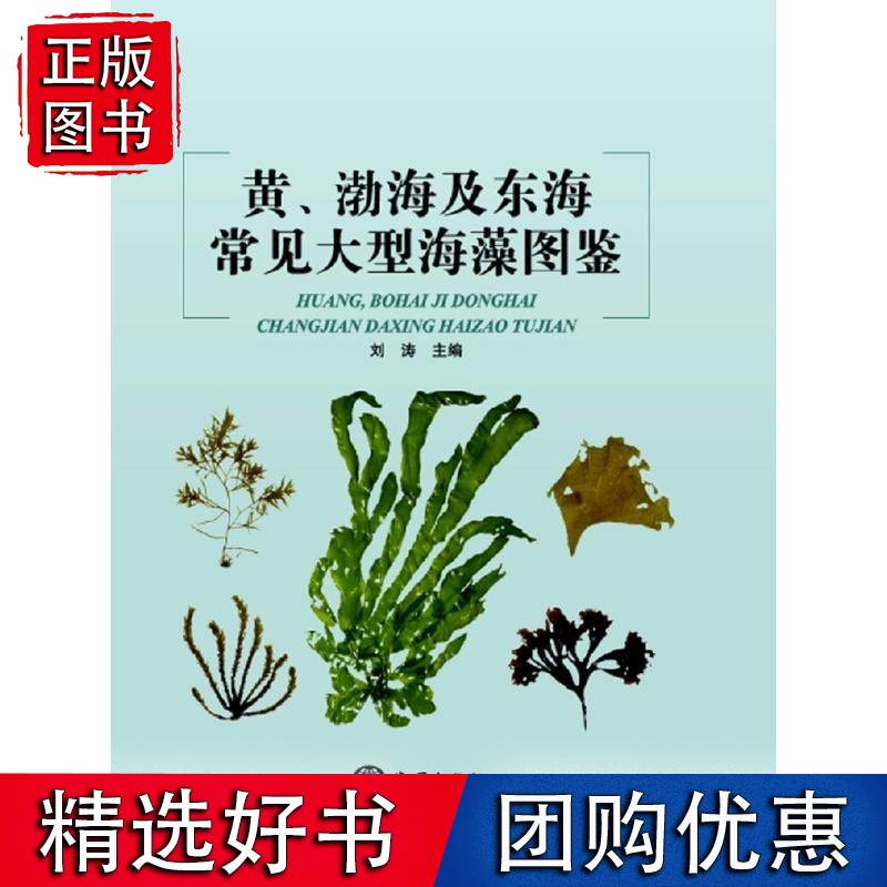 黄，渤海及东海常见大型海藻图鉴