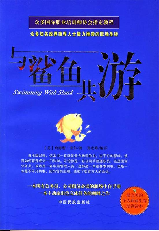 与鲨鱼共游