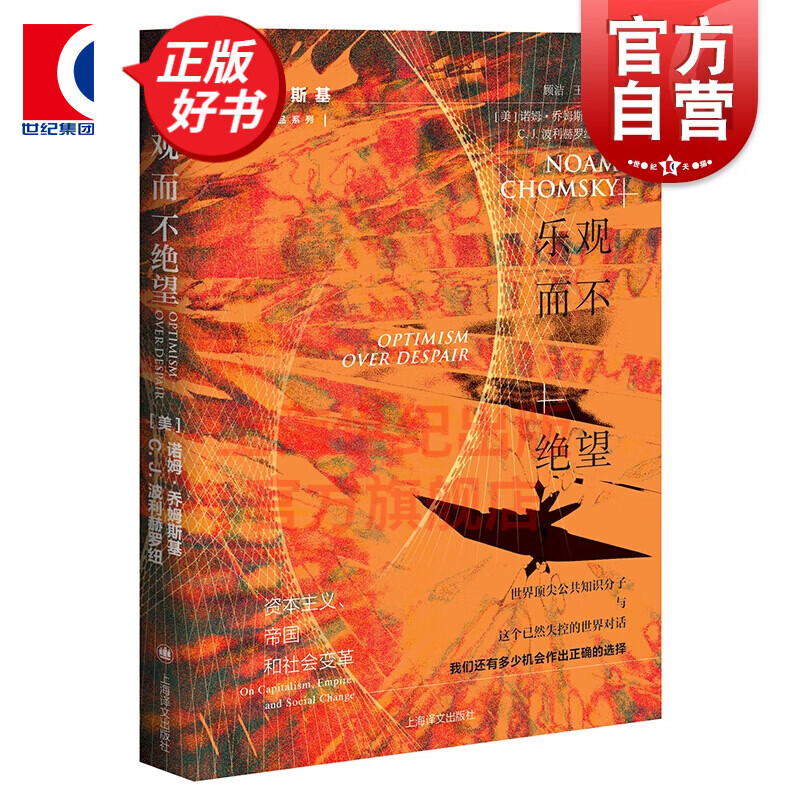 乐观而不绝望 乔姆斯基作品系列 上海译文出版社