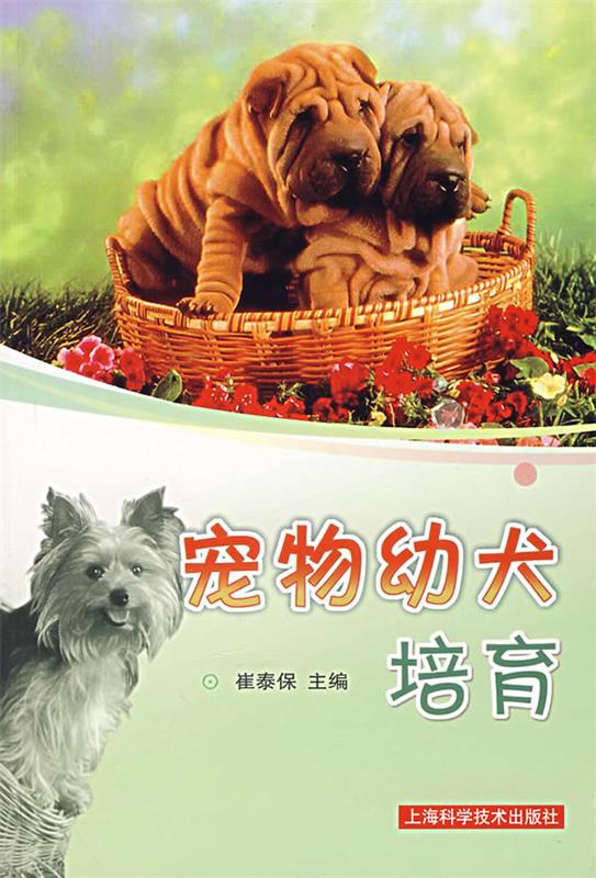 宠物幼犬培育