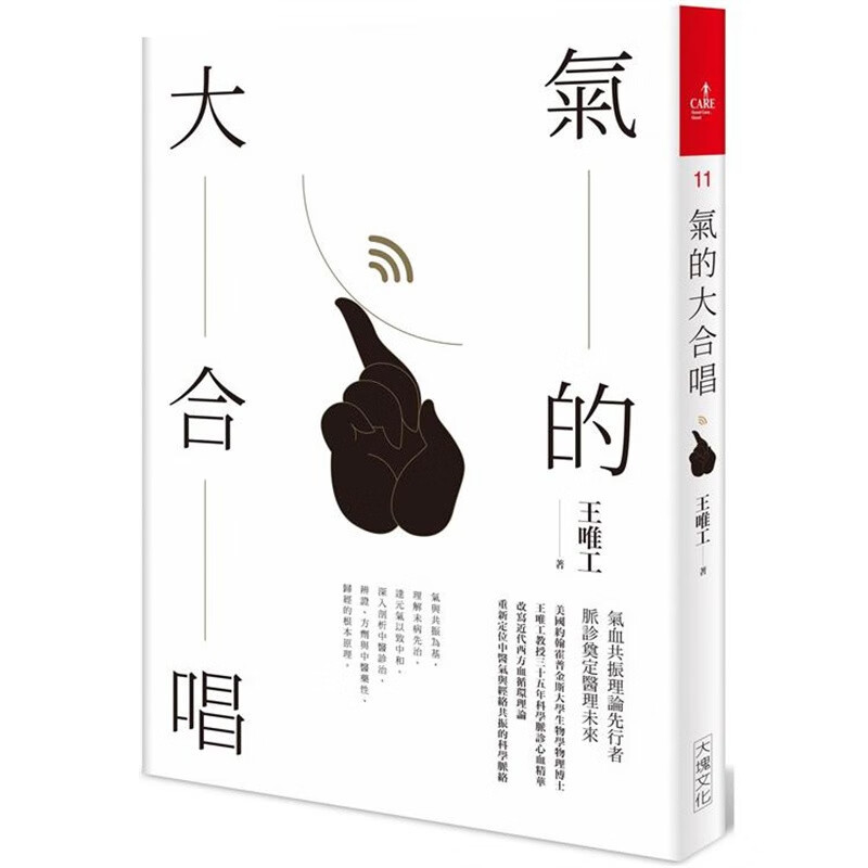 台版 气的大合唱 全新修订版 大块文化 王唯工 探讨中医的诊断辨证论治和方剂疾病百科医疗保健书籍