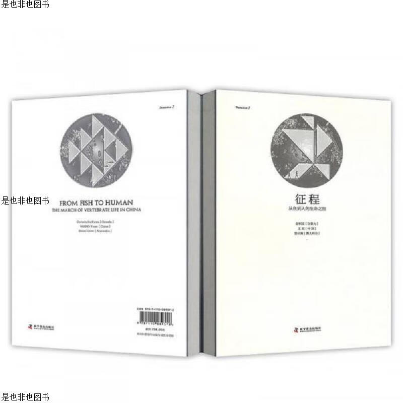 征程：从鱼到人的生命之旅