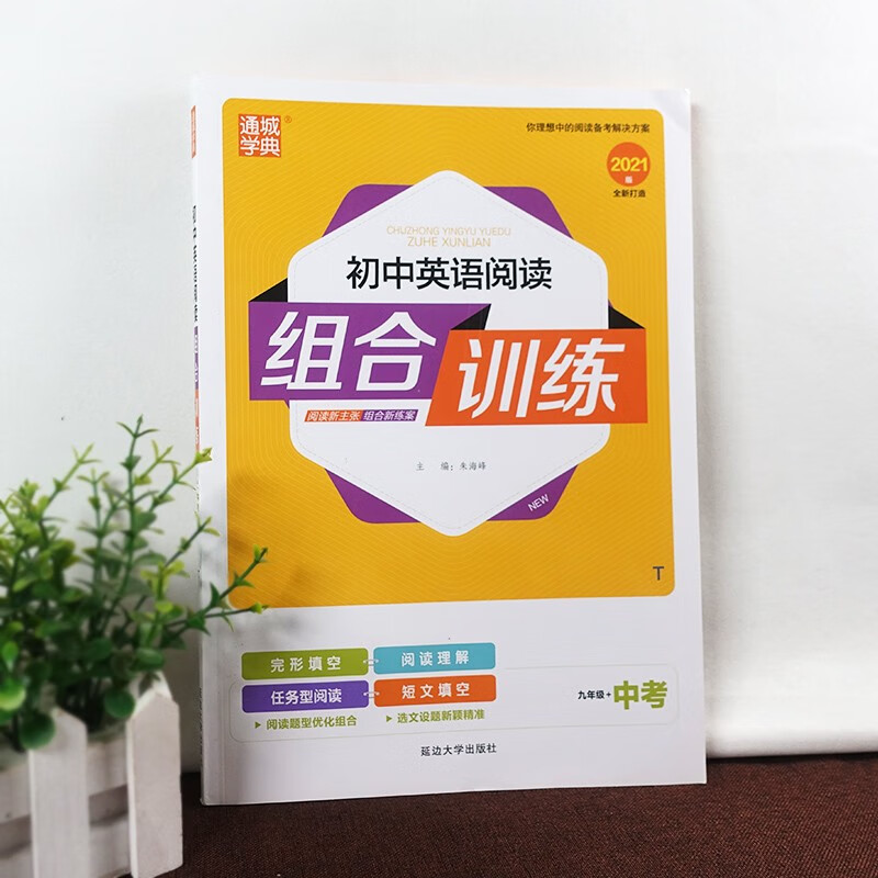 通城学典初中语文英语阅读组合训练九年级中考通用版初三上下册教材同步专项训练阅读理解考点精练全解辅导书 初中英语阅读组合训练 九年级/初中三年级