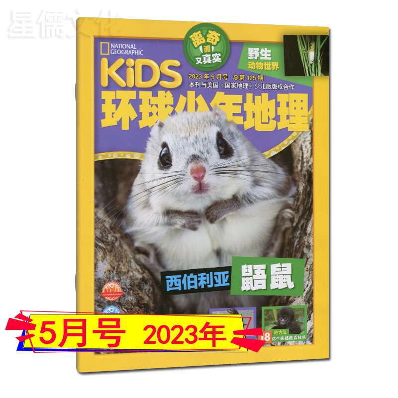 多种套装】环球少年地理杂志2023年9/7-8/6/5/4/3/1-2月/2022年1-12月少年版2023全年订阅2021全年套装过期刊环球趣味博物奇点科学问天万物小哥白尼好奇号奥秘野生动物非过期刊