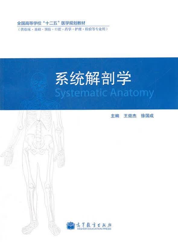 系统解剖学 王效杰,徐国成主编