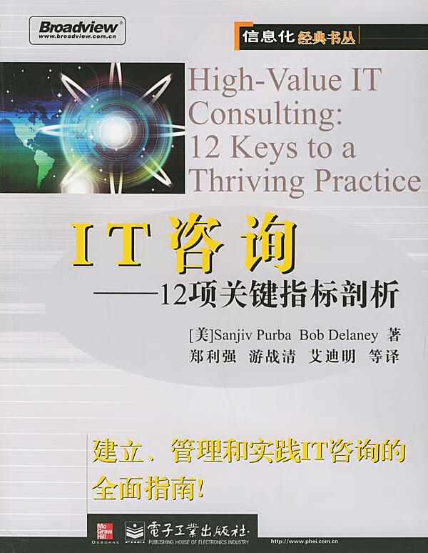 IT咨询 12项关键指标剖析【特惠】