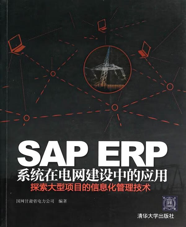 SAP ERP 系统在电网建设中的应用