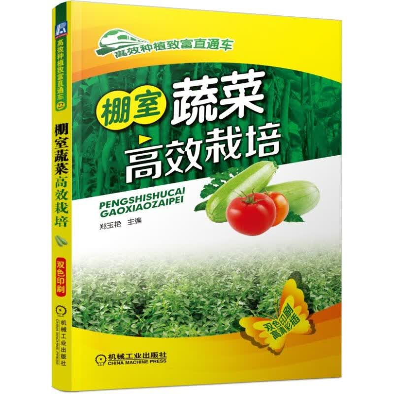 棚室蔬菜高效栽培
