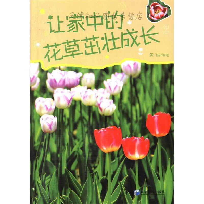 速发让家中的花草茁壮成长