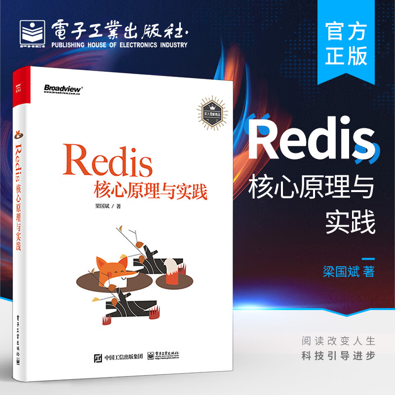 Redis核心原理与实践