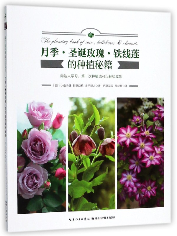 月季圣诞玫瑰铁线莲的种植秘籍