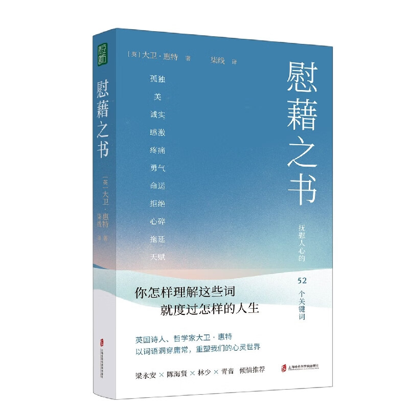 慰藉之书