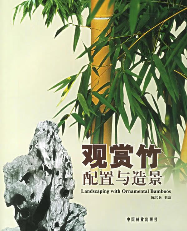 观赏竹配置与造景