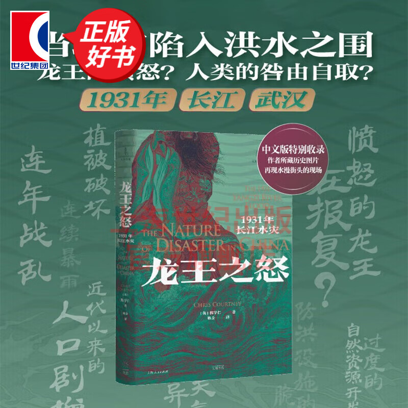 龙王之怒：1931年长江水灾 陈学仁 江淮地区环境史著作 灾害历史研究国民政府日本入侵史 费正清奖获奖图书 杜赞奇侯深推荐 光启书局