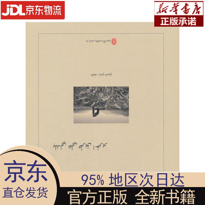 丝路上的故乡（阿） 王晴 外文出版社 王晴 著 外文出版社