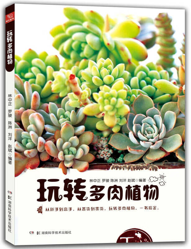 玩转多肉植物【好书】