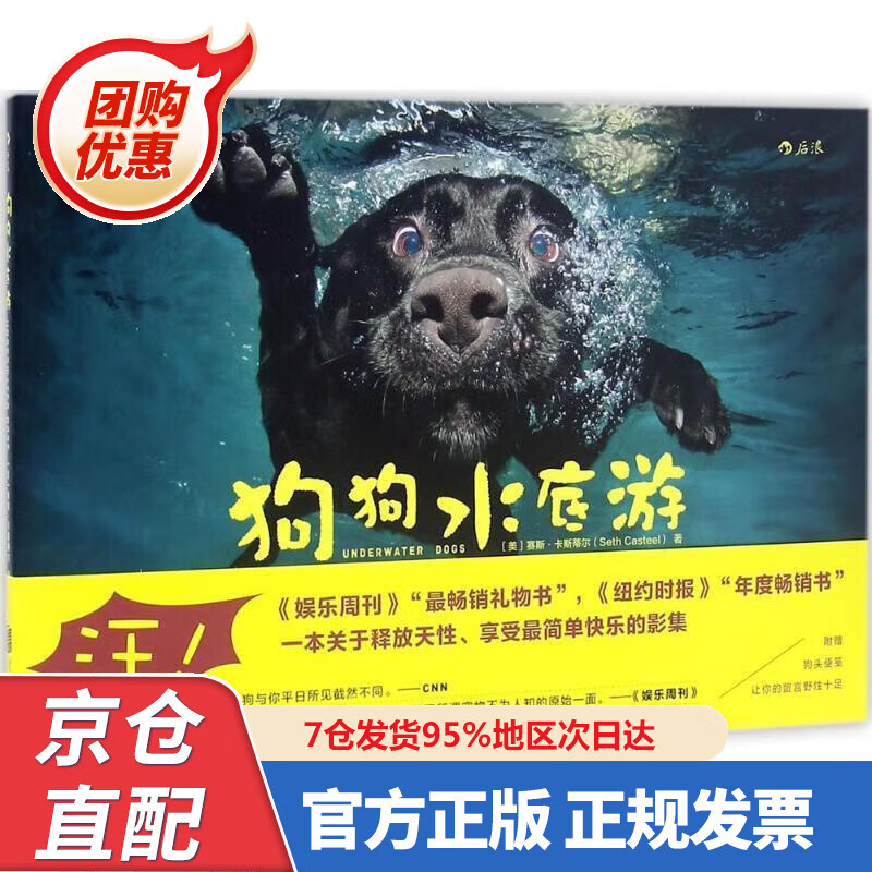 【新书】狗狗水底游 9787550278066 [美] 赛斯·卡斯蒂尔 著 北京联合出版公司