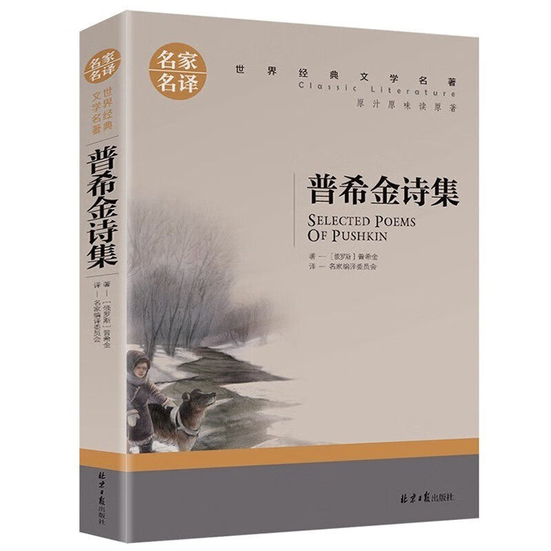 地心游记天方夜谭居里夫人传百万英镑安妮日记名家名译课外阅读少年维特之烦恼三个火枪手高老头巴尔扎克飘格 普希金诗集