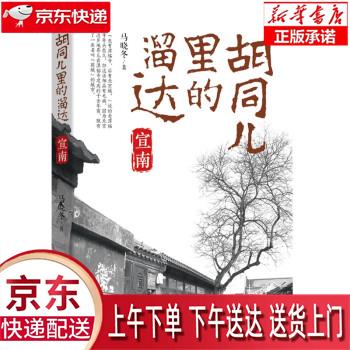 【新华畅销图书】胡同里的溜达.宣南 马晓冬 中国书籍出版社