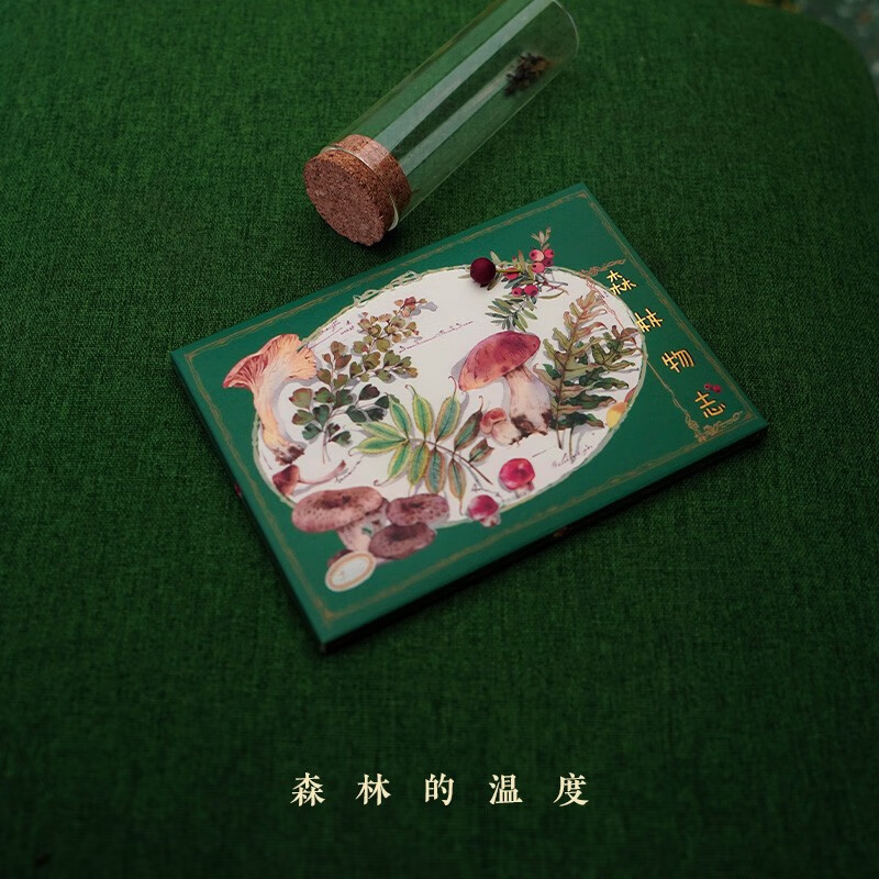 森林物志 吉积_ 水彩插画 32开14帧植物花卉 明信片 手账素材 装饰画片 艺术/插画 浙江人民美术出版社图书籍