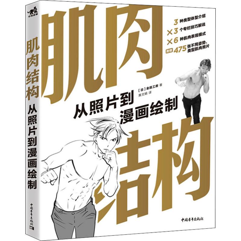 肌肉结构 从照片到漫画绘制