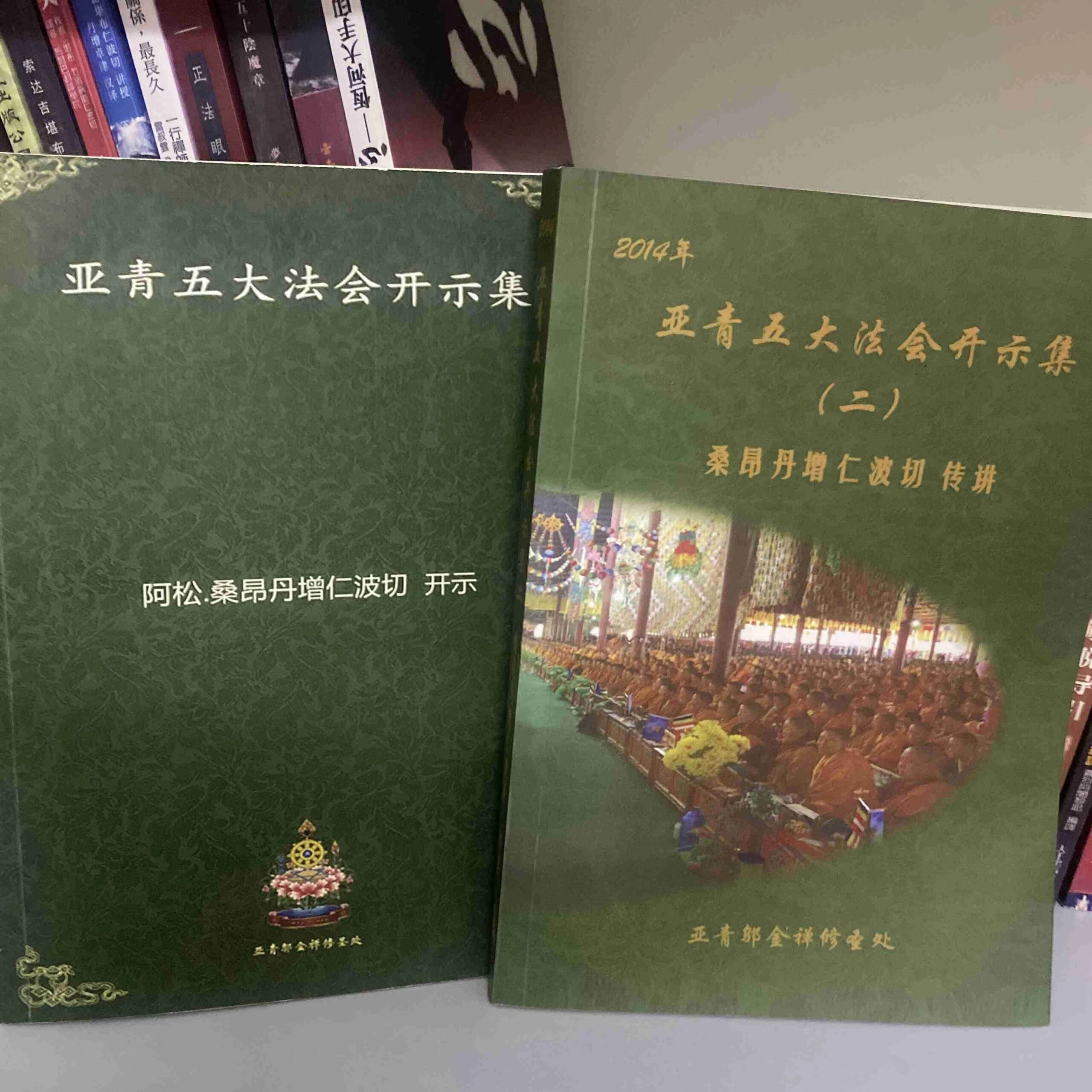 亚青五大法会开示集1-2册桑昂丹增