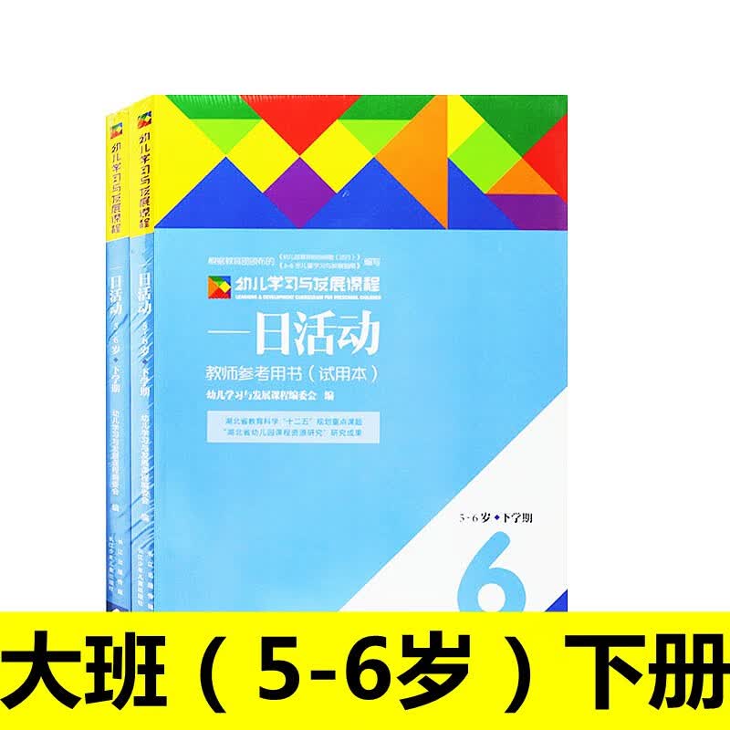 一日活动课程 3-6岁幼儿园学习与发展课程一日活动教师用书籍指南幼儿园长管理儿童教案到体育安全指导教材学前教育幼教幼师资料书 一日活动5-6岁【大班下学期】 幼儿学习与发展课程