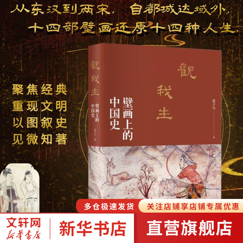 观我生：壁画上的中国史 从汉朝到宋朝 一读就上瘾的中国史 苗子兮 著 文津图书奖推荐图书 历史书籍 图书