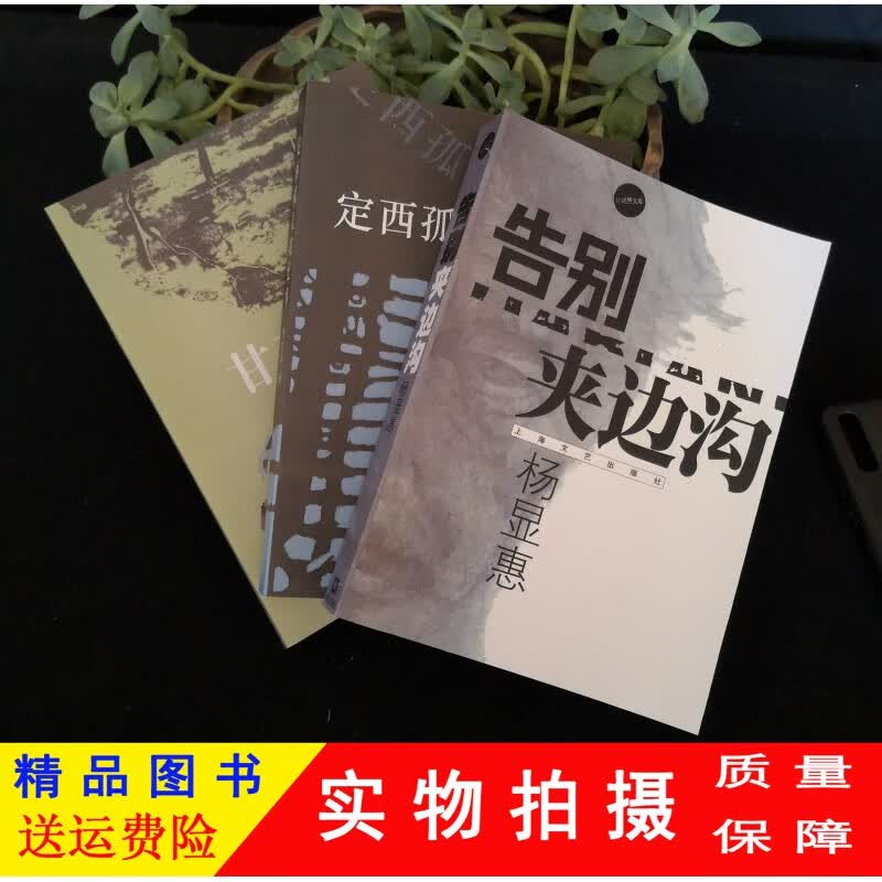 《》《定西孤儿院纪事》《甘南纪事 》作者:杨显惠著
