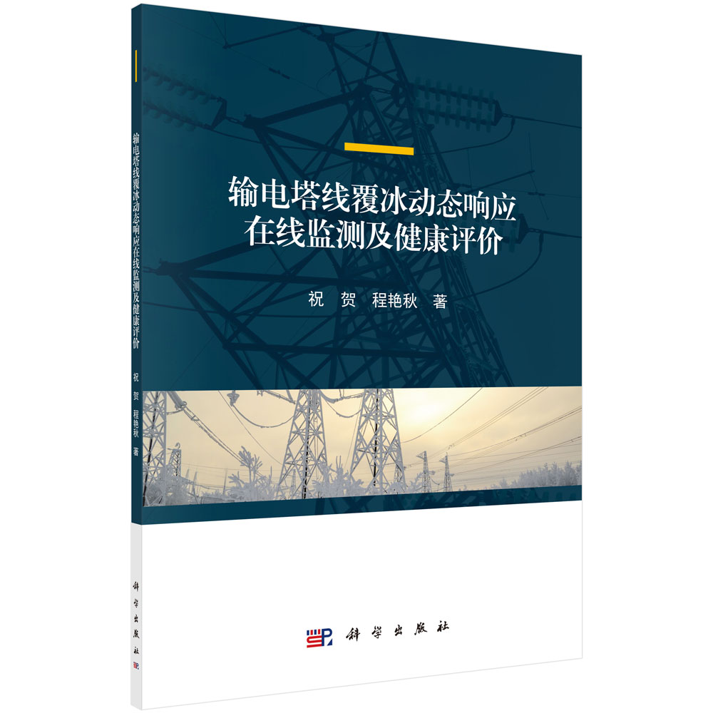输电塔线覆冰动态响应在线监测及健康评价