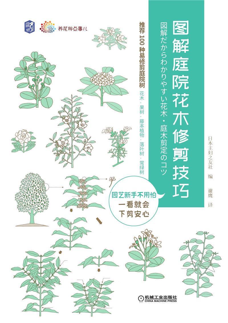 图解庭院花木修剪技巧日本妇之友社机械工业出版社9787111694267 家居书籍