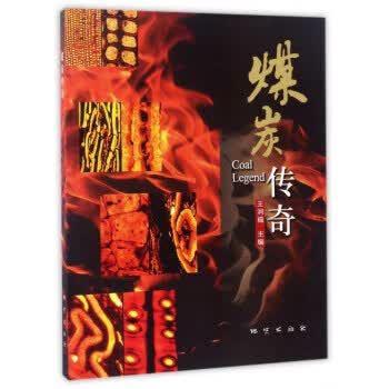 煤炭传奇 王润福【书】