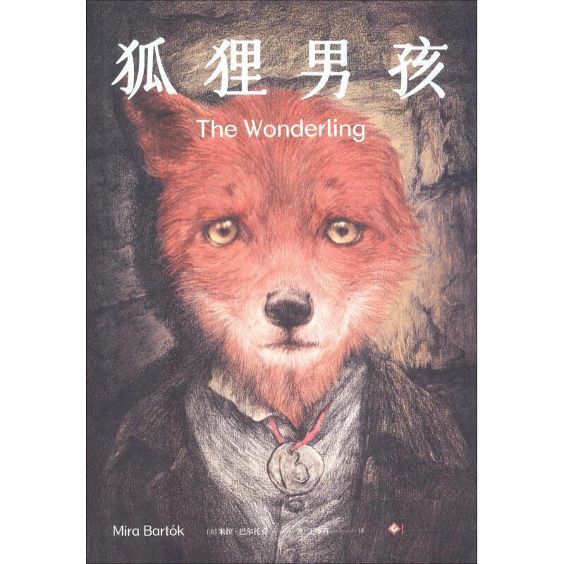 狐狸男孩【书籍，畅读优品】