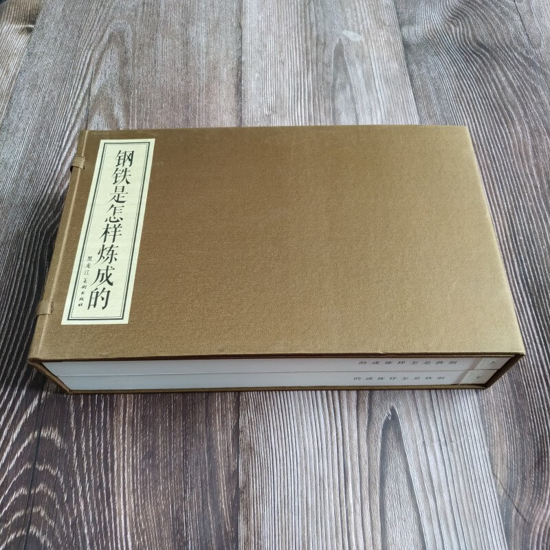 雷人版 钢铁是怎样炼成的 连环画小人书 16开宣纸 上下册共2本 毅进 绘 黑龙江美术出版社
