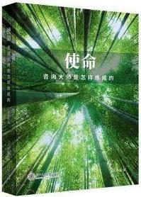 使命  咨询大师是怎样炼成的 埃森哲编 上海交通大学出版社