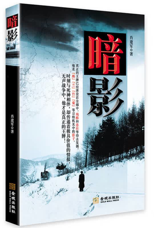暗影【好书】