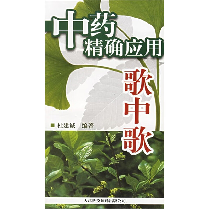 中药精确应用歌中歌