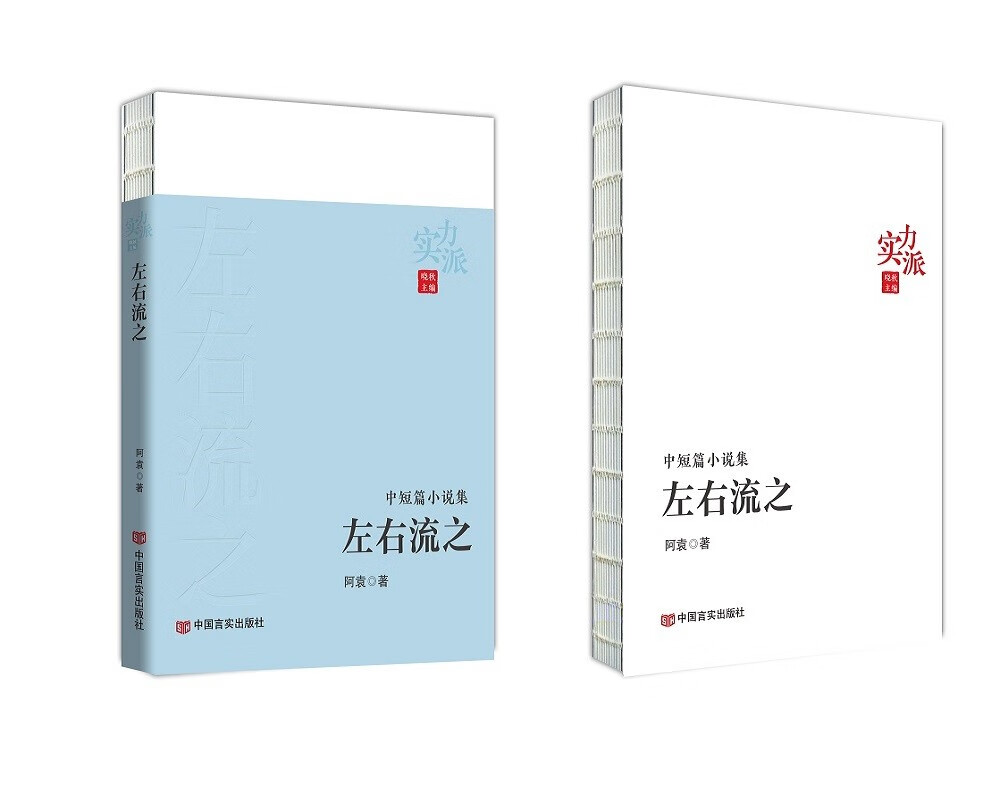 左右流之 “实力派”丛书 阿袁 中国言实出版社